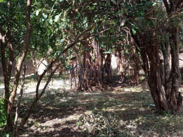 Terreno, Centro, Pirassununga R$ 491 mil, Cod: 10133680