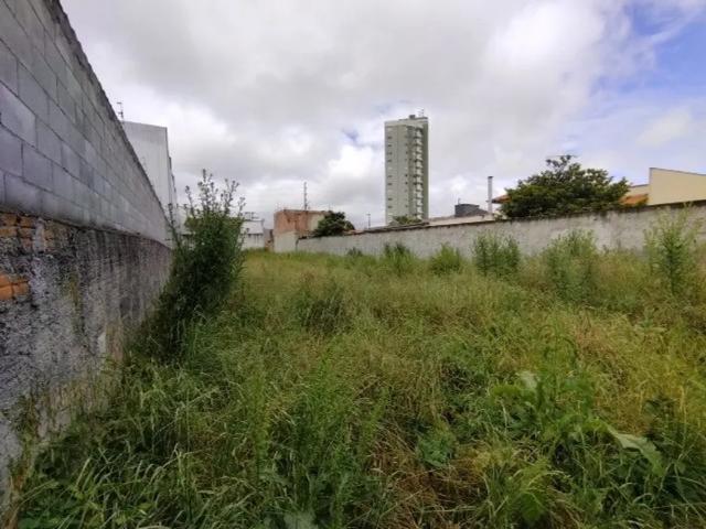 Terreno Centro São José dos Pinhais
