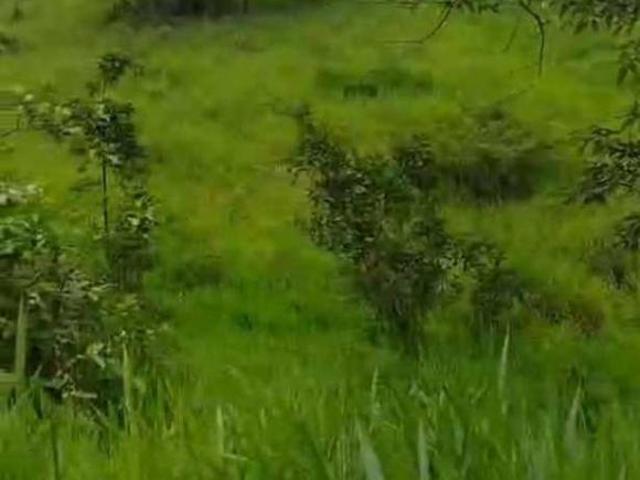 Terreno, Centro, Santa Isabel R$ 200 mil, Cod: 3716