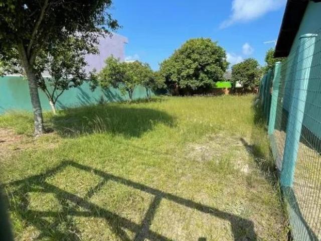 Terreno cercado e gramado