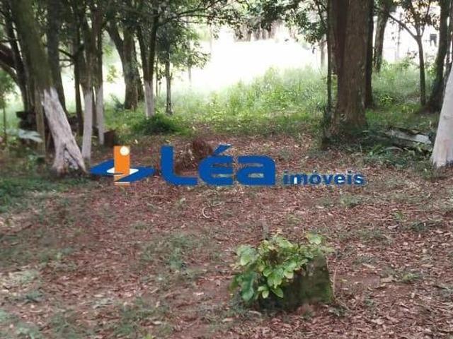Terreno, Chacará São Luiz, Biritiba mirim, SP