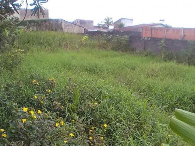 Terreno, Cibratel II, Itanhaém R$ 150 mil, Cod: 5786