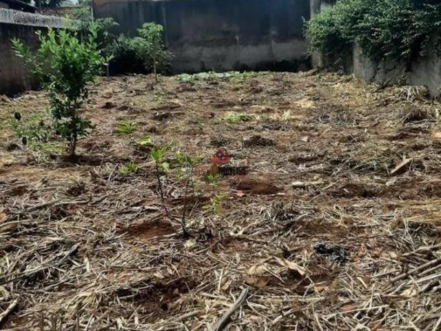 Terreno Cidade Jardim