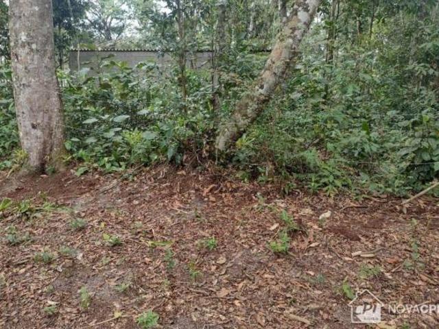 Terreno Cidade Jardim Coronel em Itanhaém