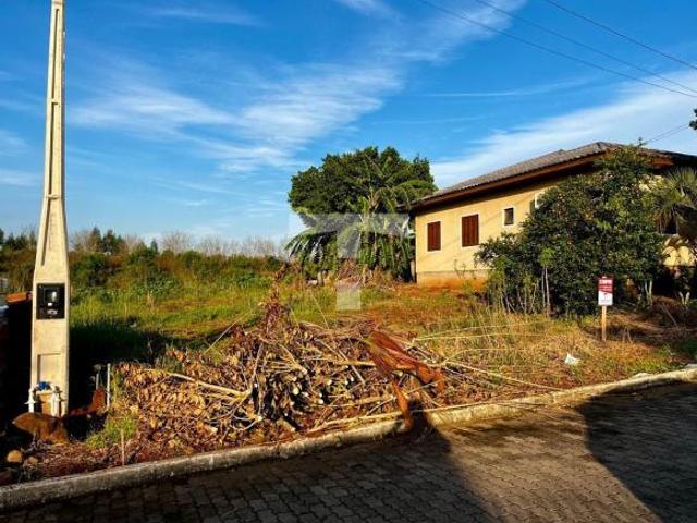 TERRENO CIDADE NOVA