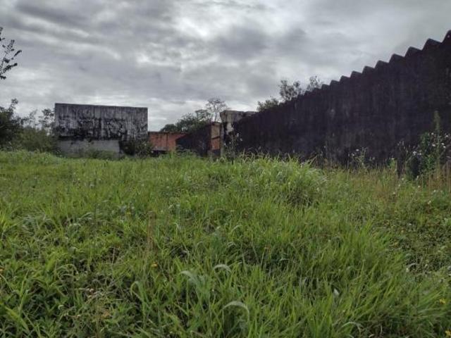 TERRENO CIPÓ