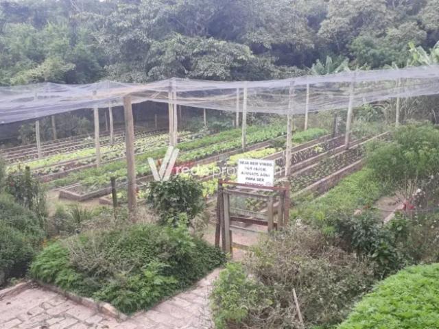 Terreno Clube de Campo Valinhos