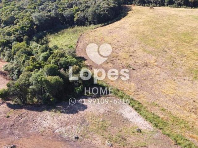 TERRENO | COLOMBO | 121.135,06M²