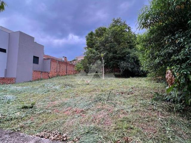 Terreno com 405 m e frente de 15 metros localizado no Centro de Toledo