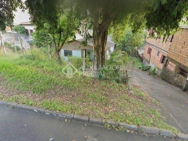 TERRENO COM 412M² NA AVENIDA ANTONIO DE CARVALHO EM PORTO ALEGRE