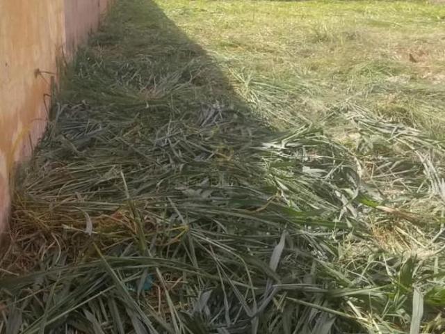 Terreno com 424,38m² de área no bairro Vila Monte Alegre, em Ribeirão Preto/SP