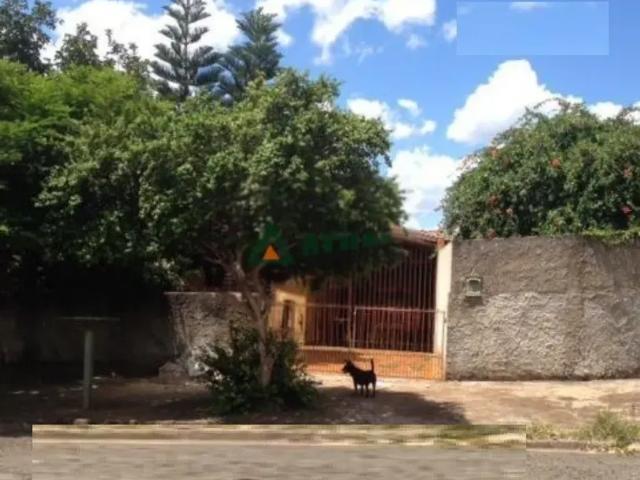 Terreno com 440 m² na região central de Londrina