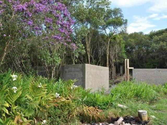 Terreno com 489,70 m2 parcialmente limpo e murado no Retiro das Caravelas Cananéia / SP