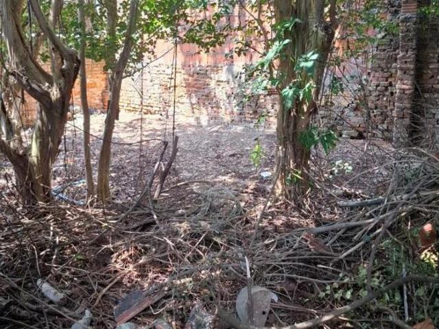 Terreno com 4 quartos à venda em Cidade vargas SP