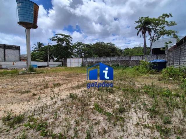 Terreno com 4.000 m² em Passarinho Recife/PE
