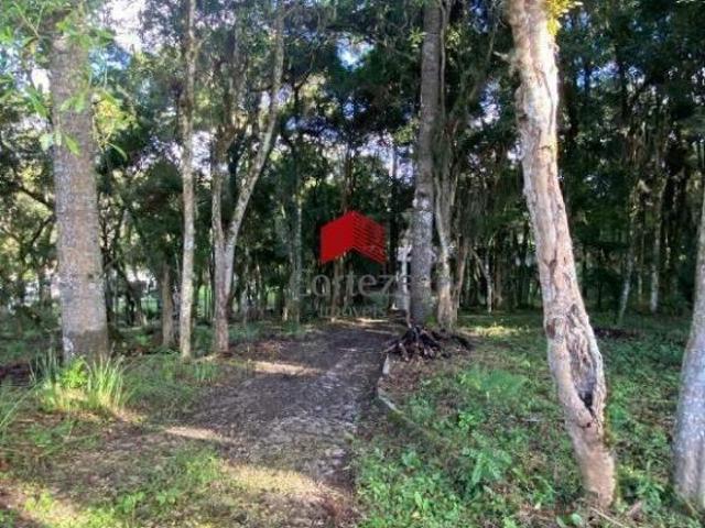 Terreno com 4.720m², à venda, no bairro Borda do Campo em São José dos Pinhais