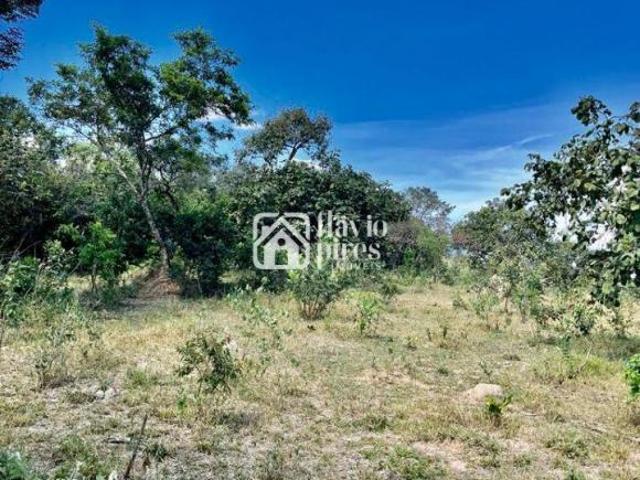 Terreno com 5000 m² próximo a Várzea Das Flores!