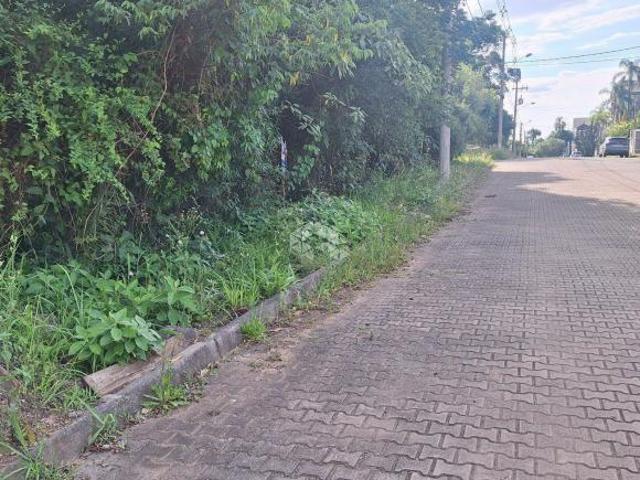 Terreno com 517,04 m2 em área nobre na serra gaúcha por R$ 540.600,00