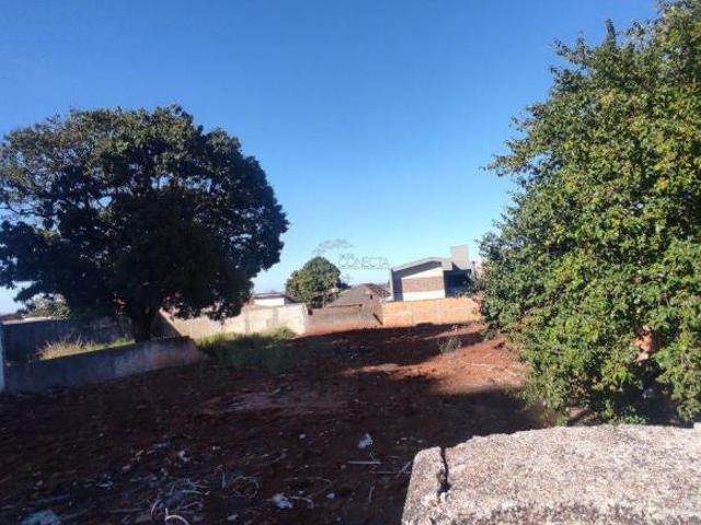 Terreno com 525 M2 área central