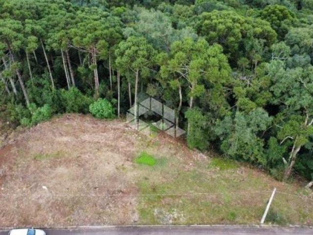 Terreno com 546,26m2 no Bairro São Giacomo em Caxias do Sul