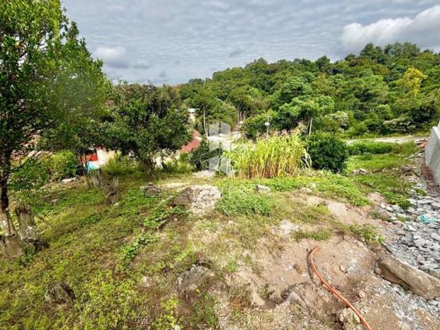 Terreno com 585 m² de área em ótima localização, com algumas árvores frutíferas