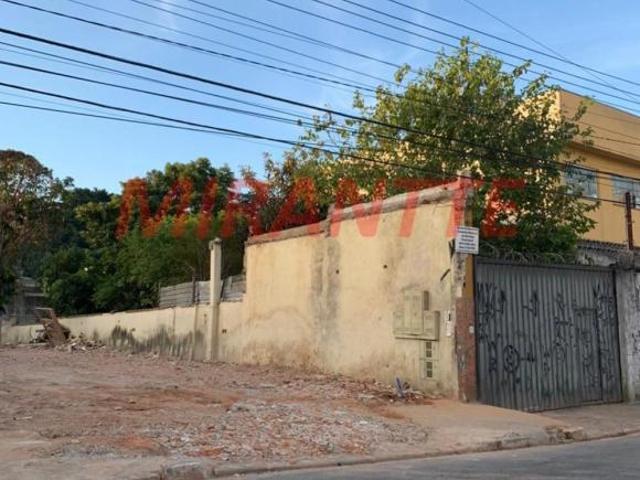 Terreno com 5 quartos