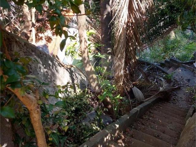Terreno com 5 quartos à venda em Vila Gustavo SP