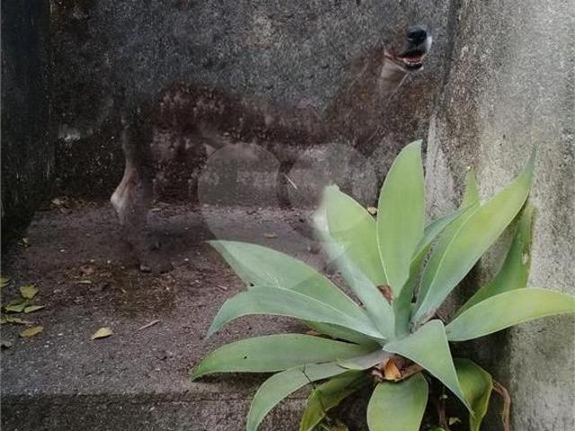 Terreno com 5 quartos à venda em Chácara califórnia SP