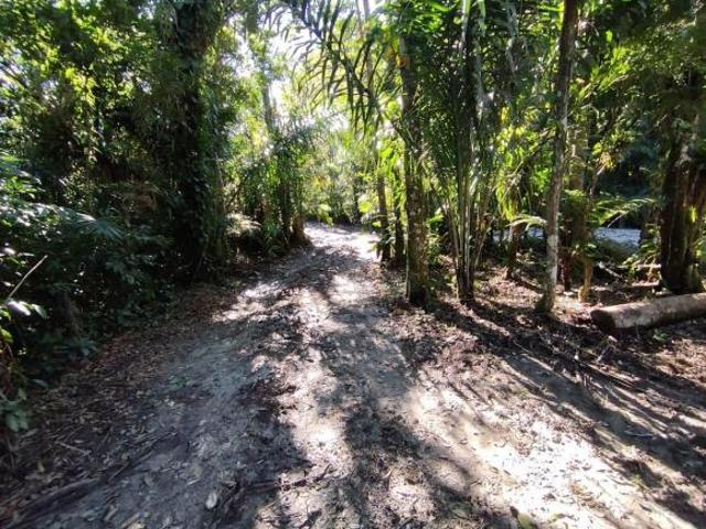 TERRENO COM 5.000 m² EM CONDOMÍNIO DE CHÁCARAS | S