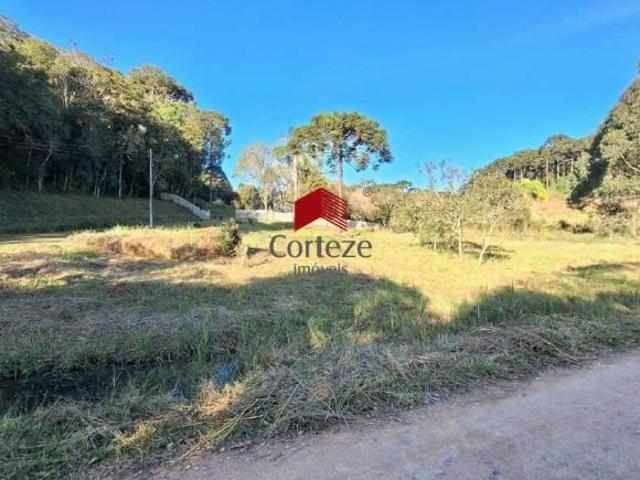 Terreno com 5.000m², à venda, no bairro Cachoeira em São José dos Pinhais