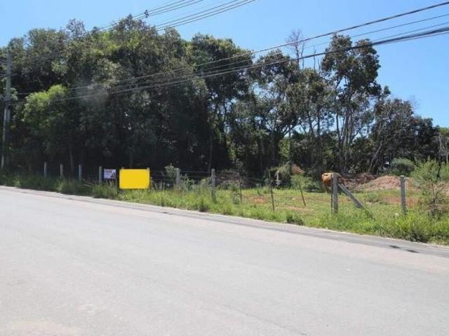 Terreno com 5.119,91m², à venda, no bairro Arujá em São José dos Pinhais