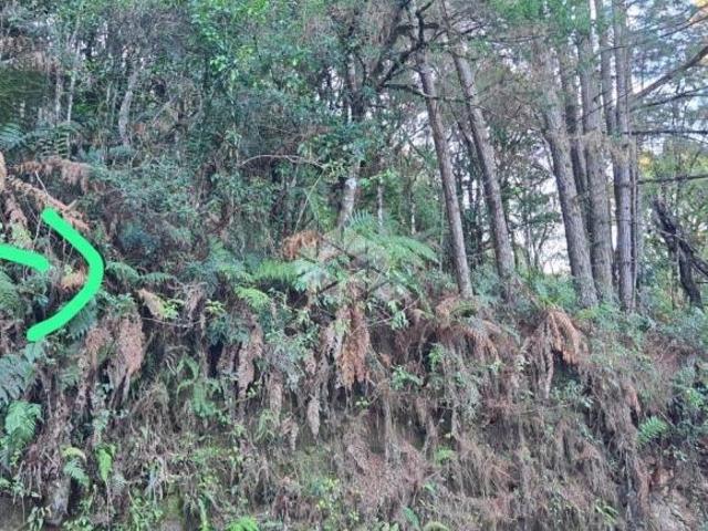 Terreno com 600m², em bairro em expansão em Canela