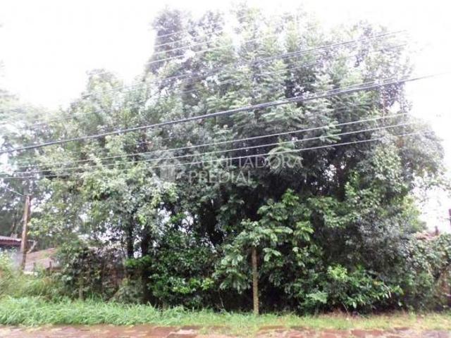 Terreno com 660m² de área no bairro Vila Nova