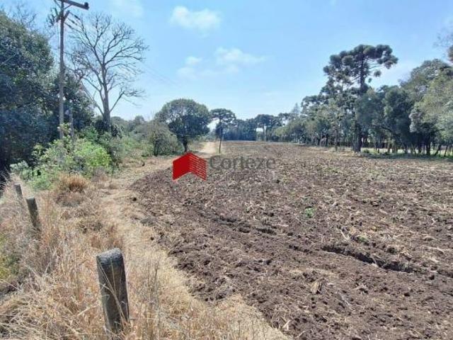 Terreno com 69.216,89m², à venda, no bairro Campo Largo da Roseira em São José dos Pinhais