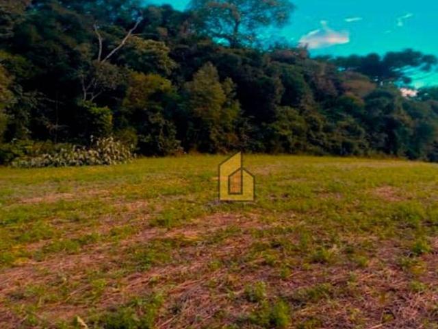 Terreno com 6.050m² no Cardosos em Contenda PR A venda por R$239.000,00