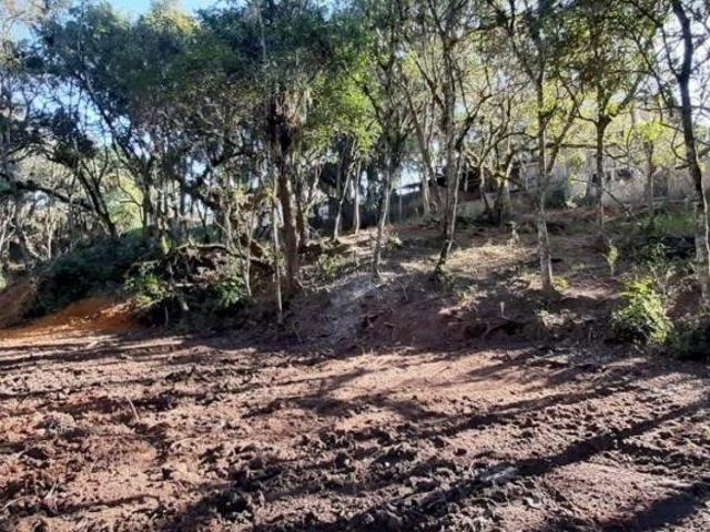 Terreno, 6119.88M², à Venda por R$ 750.000,00 Barro Preto, São José dos Pinhais Pr