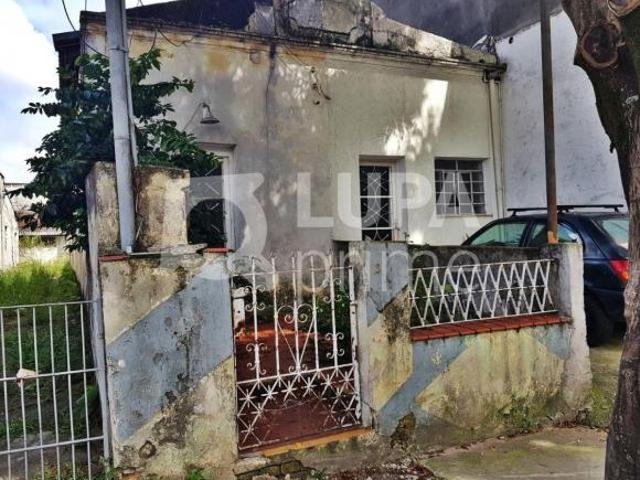 TERRENO COM 720M² PARA VENDA, VILA GUILHERME, SÃO PAULO