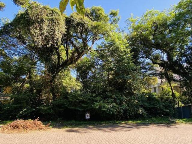 TERRENO COM 784M² NO CONDOMÍNIO RESERVA DA SERRA EM CANELA/RS COM PROJETO DE RESIDÊNCIA APROVADO