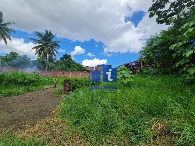 Terreno com 800 m² às margens da BR 101 em Igarassu PE