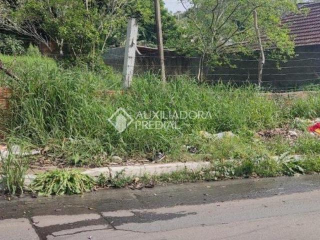 Terreno com 828 m2 em Viamão