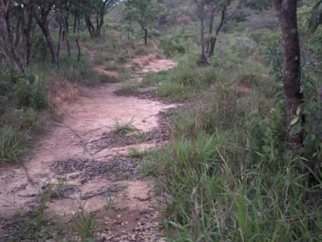 Terreno com 8,07 hectares 85.700 m2. Localizado no Município de Esmeraldas/MG