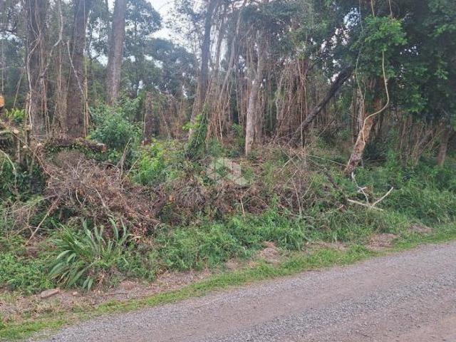 Terreno com 933,66 m2 em área de constante valorização na serra gaúcha