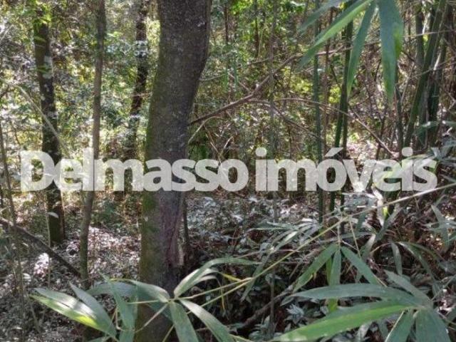 Terreno com 9.000 m² na beira da rodovia Bunjiro Nakao!
