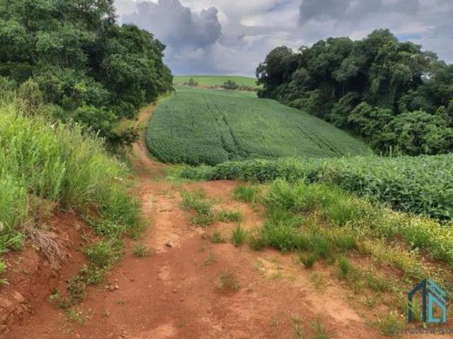 Terreno com 9,2 Alqueires, área verde ideal para plantio ou construção, em Campo Largo PR
