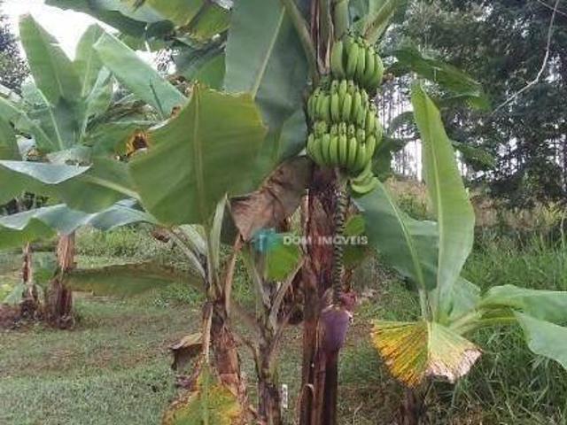 Terreno com 1003m² Pomar da Serra Juiz de Fora