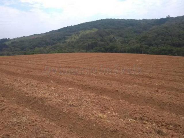 Terreno com 12 alqueires!
