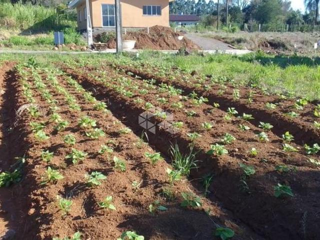 Terreno com 15 metros de frente