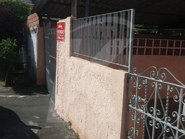 Terreno com 15m de frente na Vila Gustavo