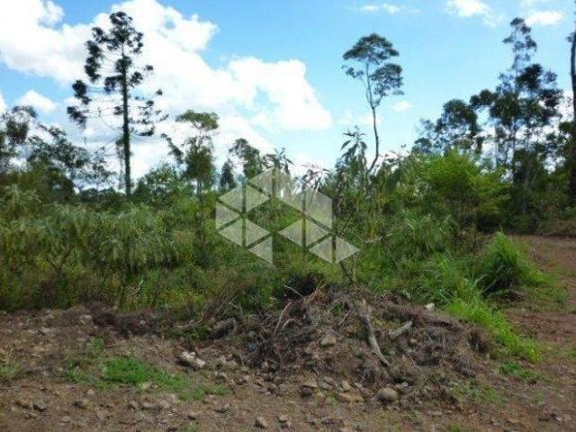 Terreno com 1 hectare no Bairro Carniel em Gramado
