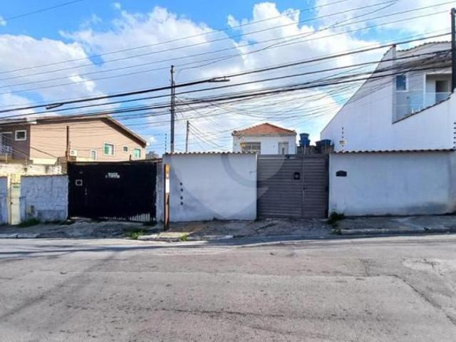 Terreno com 1 quartos à venda em Vila maria alta SP
